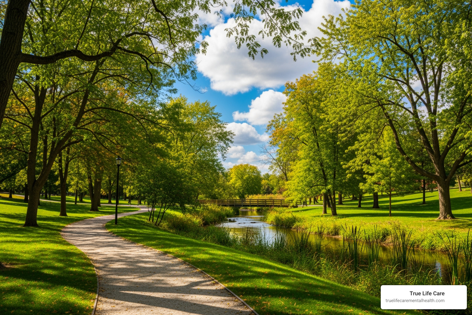 Depression Treatment in Somerset County NJ: Best of 2026